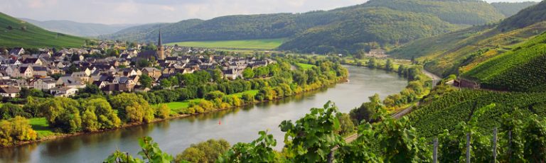Record Rhineland Tourism - Rayburn Tours