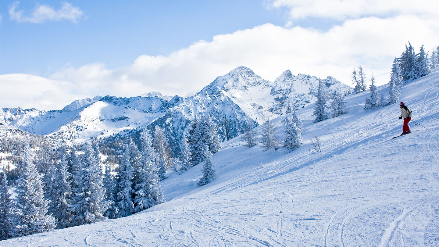 School Ski Trips Rayburn Tours